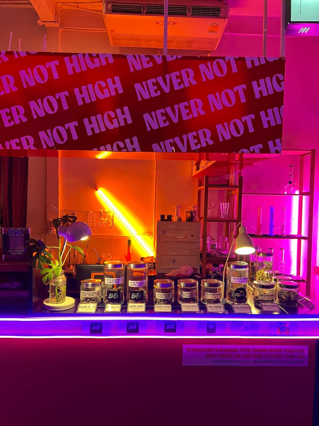 Never Not High - Soi Nana (Chinatown) - Cannabis Dispensaries in Bangkok